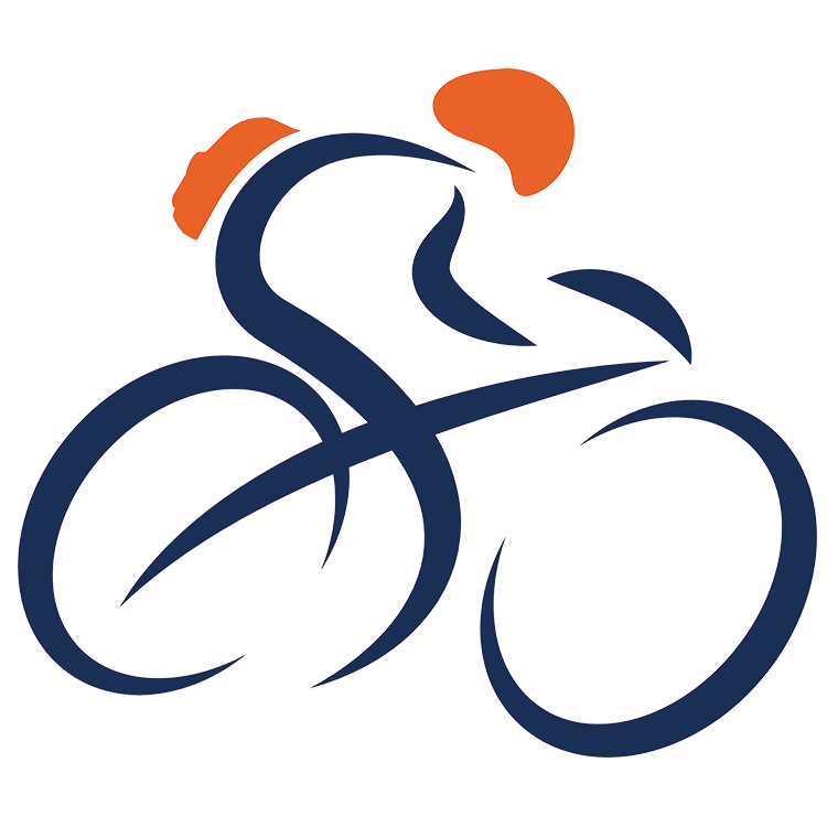 The Dandy Horse | VIDAT Bicycle Commuting Verification